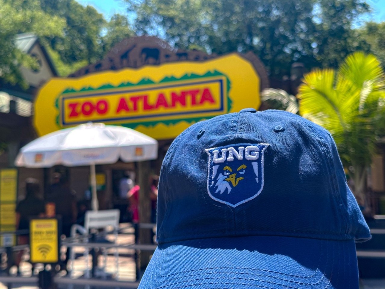 ‘U at the Zoo’: Zoo Atlanta Offers Free Admission to University ...
